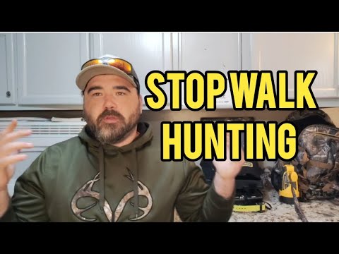 How To Stop Walk Hunting your Hound - YouTube