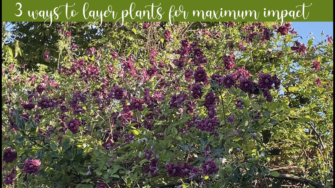 LAYERING. 3 ways to think about layering when planning out your garden ...