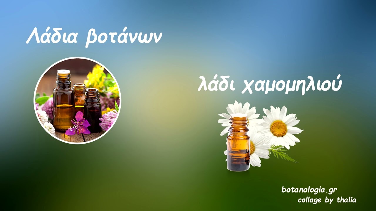 Χαμομηλέλαιο για το σύνδρομο του καρπιαίου σωλήνα - YouTube