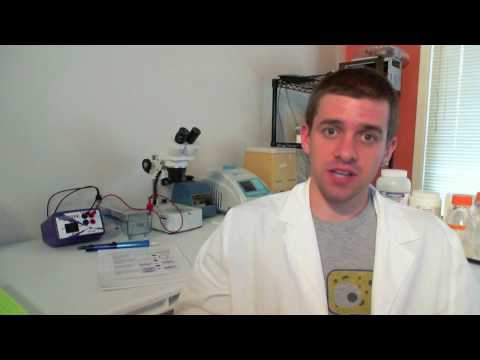 CAFG Instructor's Video Manual - Introduction