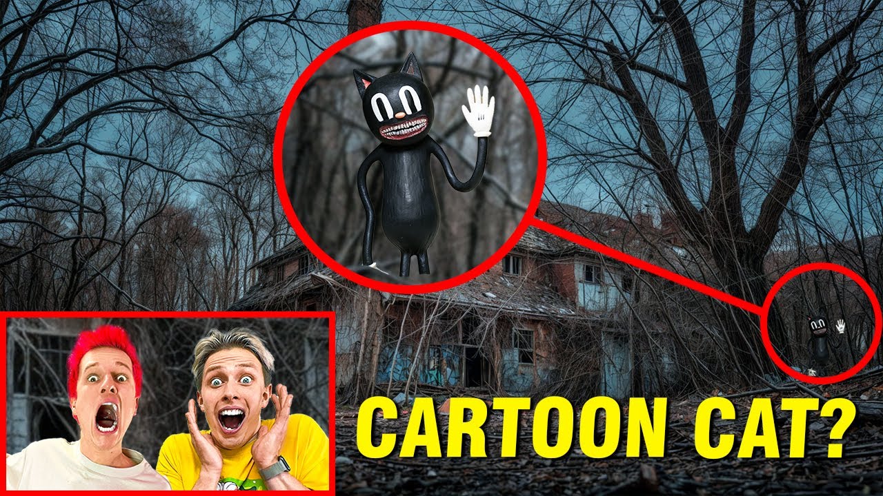 My DRONE caught CARTOON CAT on camera!! (WE FOUND HIM!) - YouTube