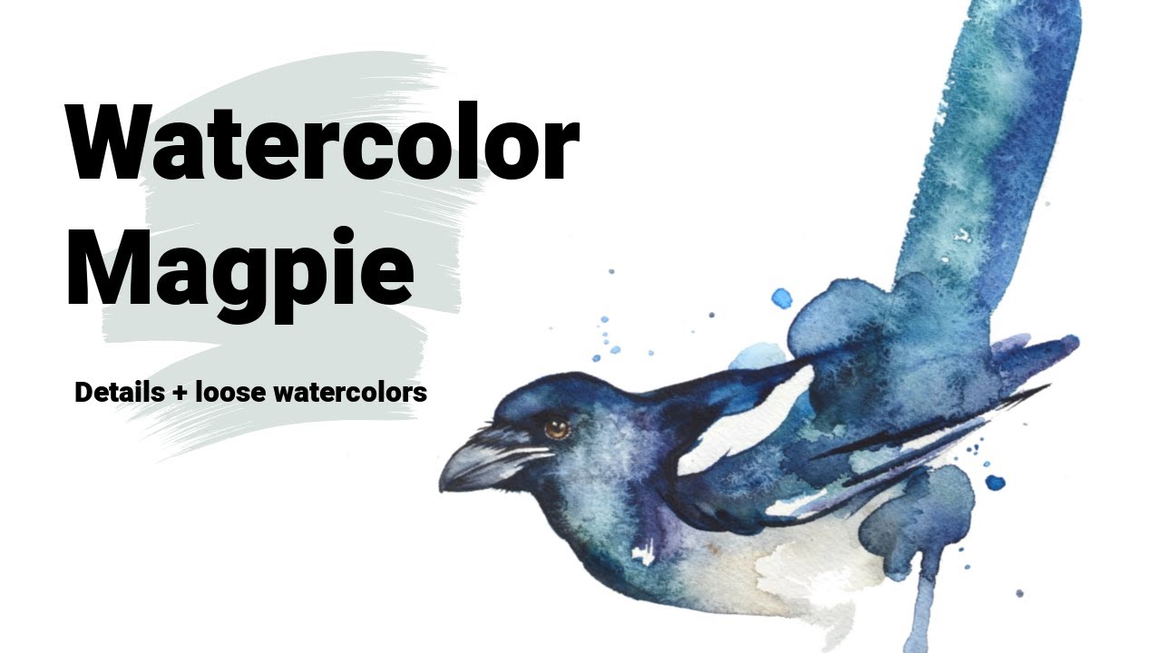 Painting a Magpie with Watercolors - YouTube