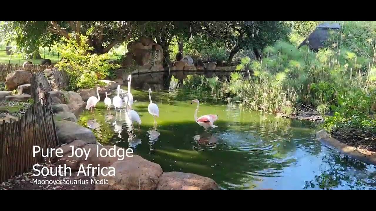 Pure Joy lodge 2022 Out and about enjoying the beauty this venue has to ...