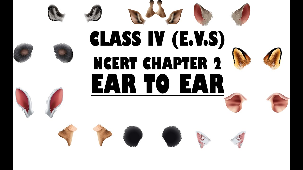 Class 4th Ear to Ear Chapter 2 EVS | S2S Classes - YouTube