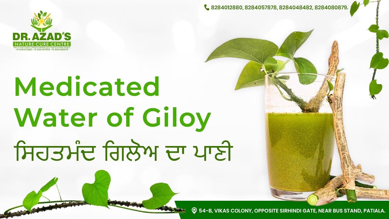 Medicated Water of Giloy | ਸਿਹਤਮੰਦ ਗਿਲੋਅ ਦਾ ਪਾਣੀ - YouTube