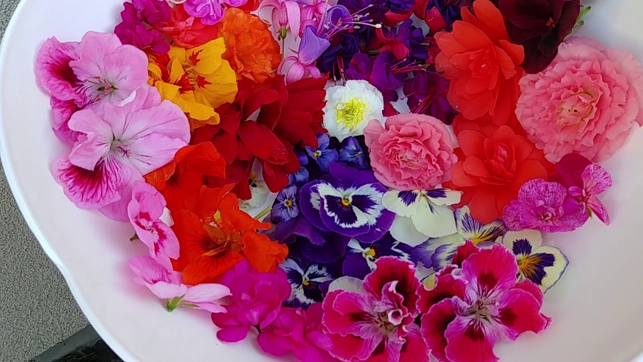 먹을 수 있는 꽃/ 꽃밥과 화전 (Edible flowers/ Flower rice and Flower sticky rice ...