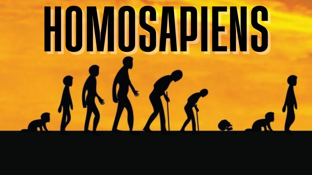 Homo Sapiens: El Origen del Ser Humano Moderno | Evolución y ...