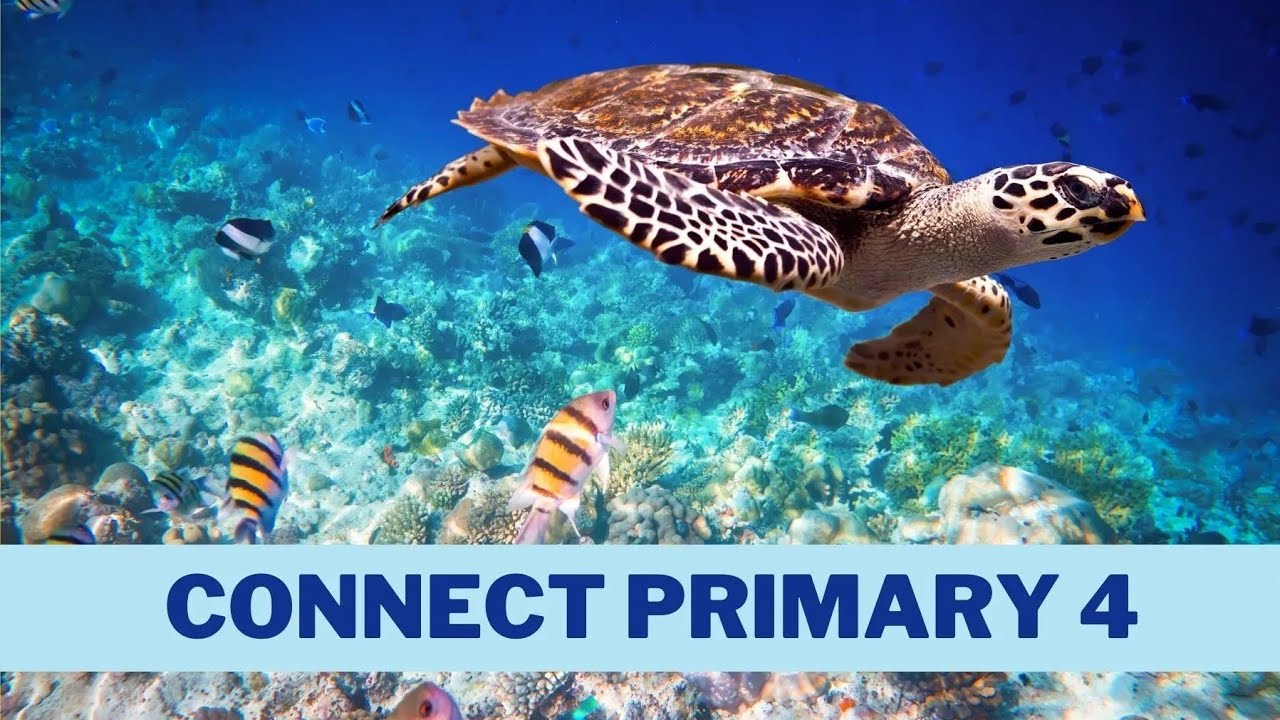Connect primary 4: "1: let's remember." - YouTube