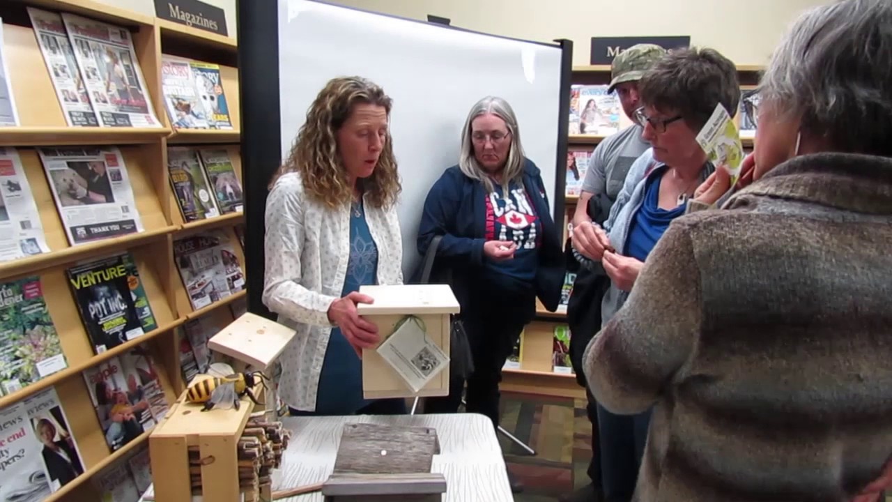 Landscape & Design with Cynthia Pohl, Garden Designer - YouTube