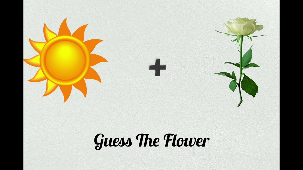Guess the flower quiz। Brain game। Puzzle game। Creative Man। # ...