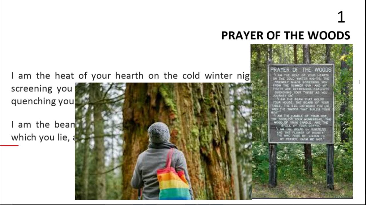 Poem : Prayer of the Woods - Anonymous (Class 12th General English ...