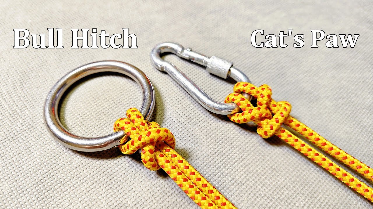 The knots you need to learn are the Bull Hitch and the Cat's Paw Knot ...