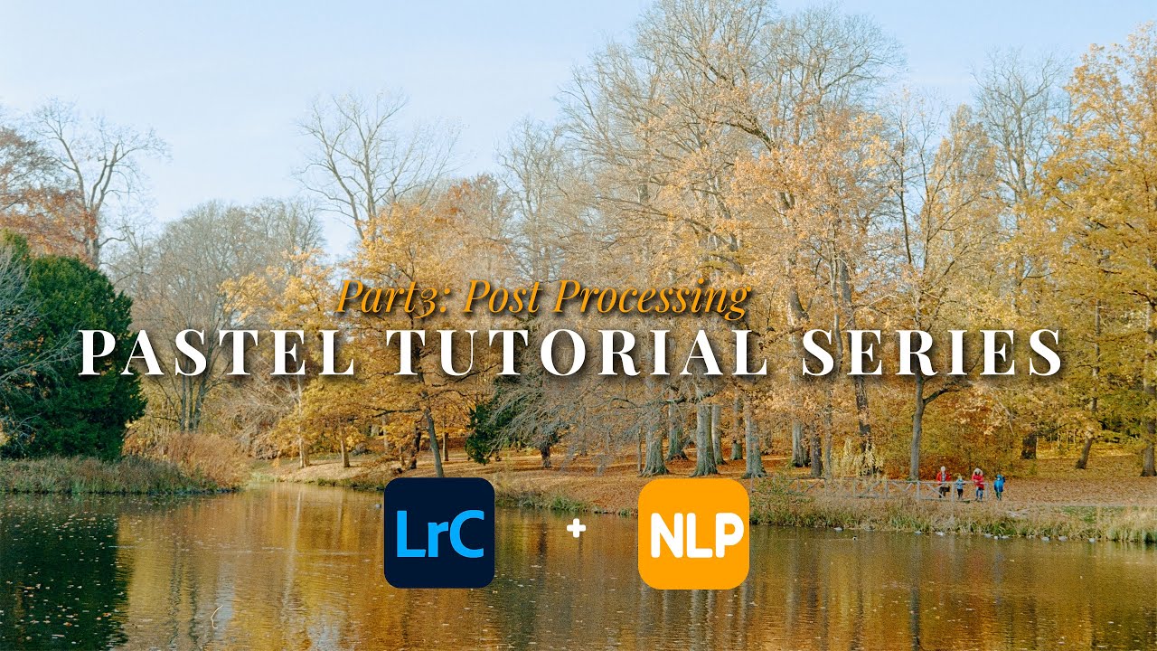 All You Need To Know About POST PROCESSING Film ft. Negative Lab Pro ...