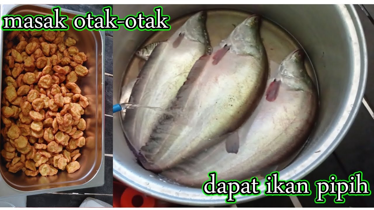 Penantian lama akhirnya dapat ikan pipih - YouTube