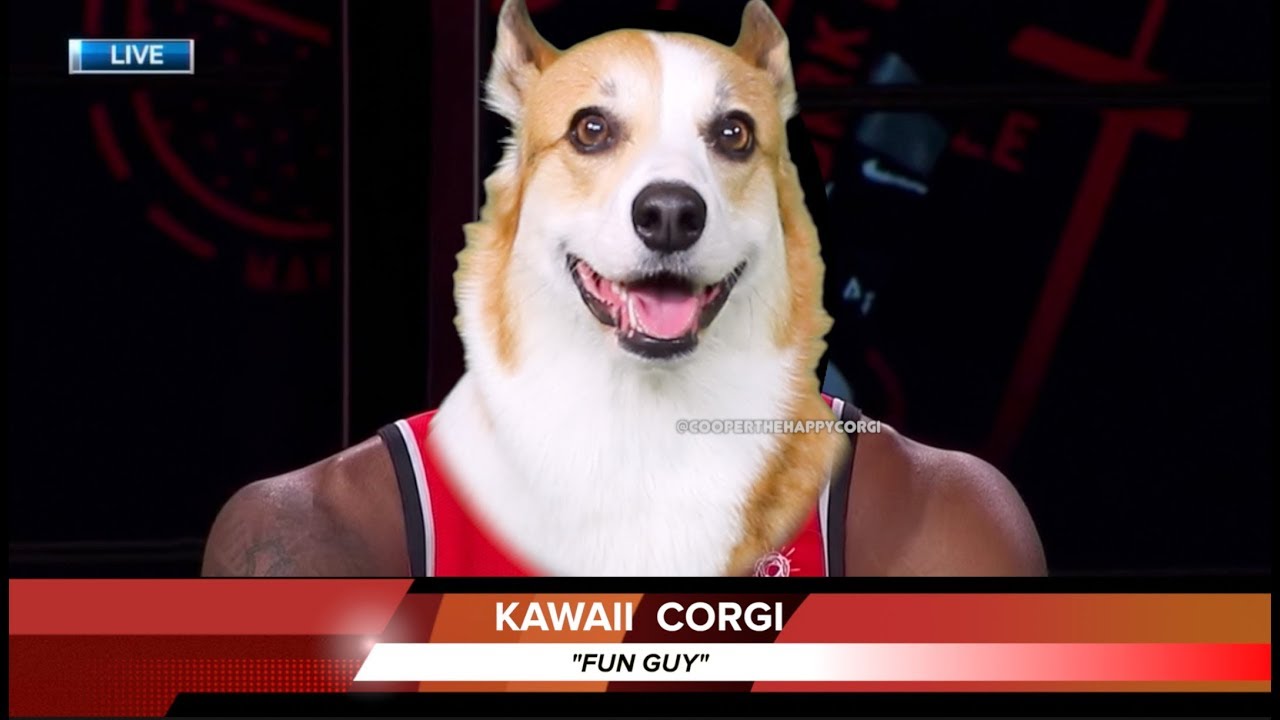 KAWHI LEONARD'S LAUGH AS AN NBA CORGI DOG - Basketball Media Day - YouTube