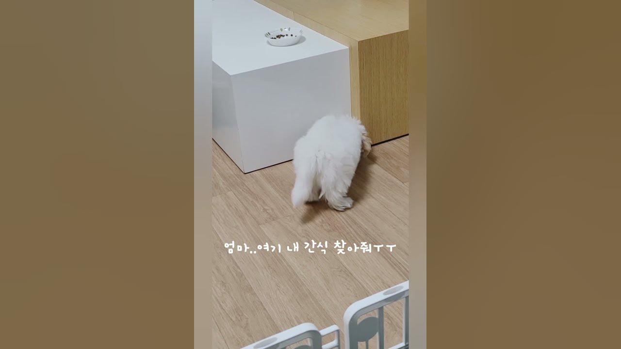 애절한 뒷태~ㅋ Youtube