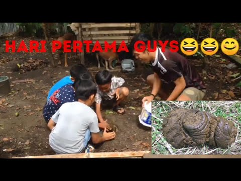 Prank - Anak ini pegang Tai sapi demi uang 🤣