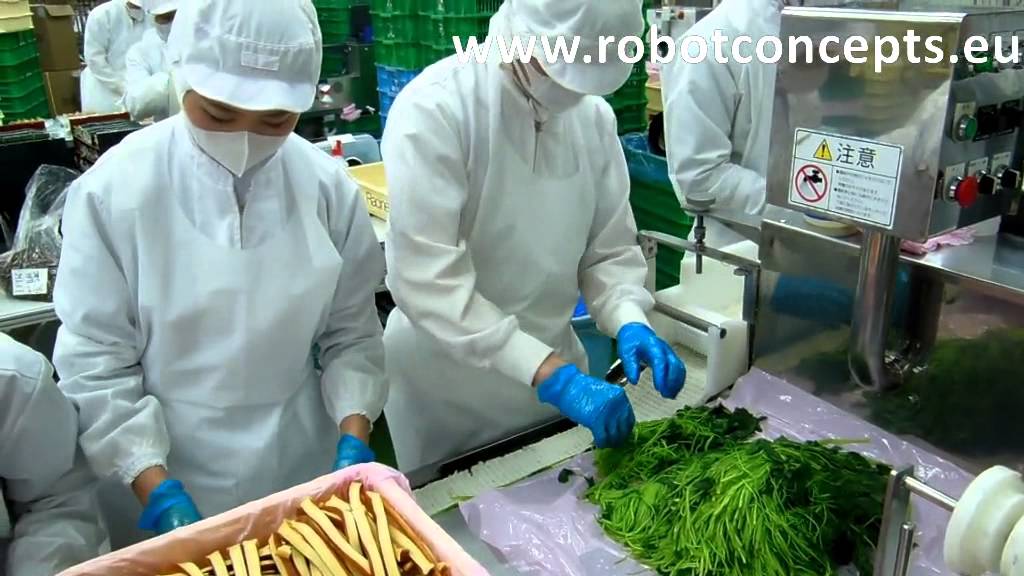 Mass Production Machine of Sushi Roll(Maki) for Sushi Factory - YouTube