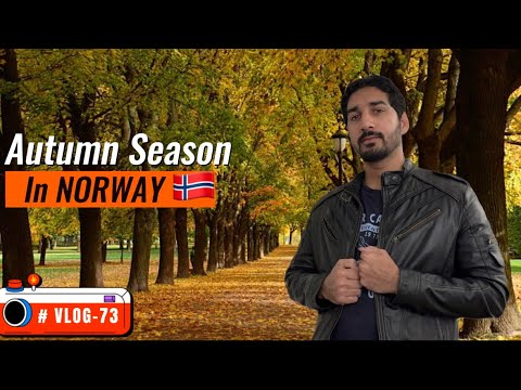 Autumn Season has begun - YouTube
