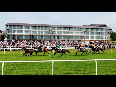 【LINGFIELD TURF】 UK HORSE RACE ANALYSIS - YouTube