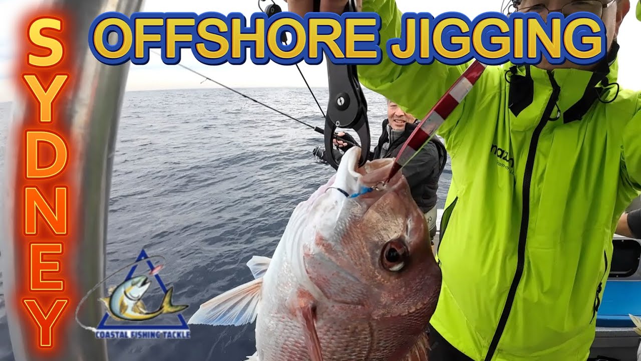 Sydney OFFSHORE DEEP JIGGING session!!! Kingfish Snapper Bonito Lure ...
