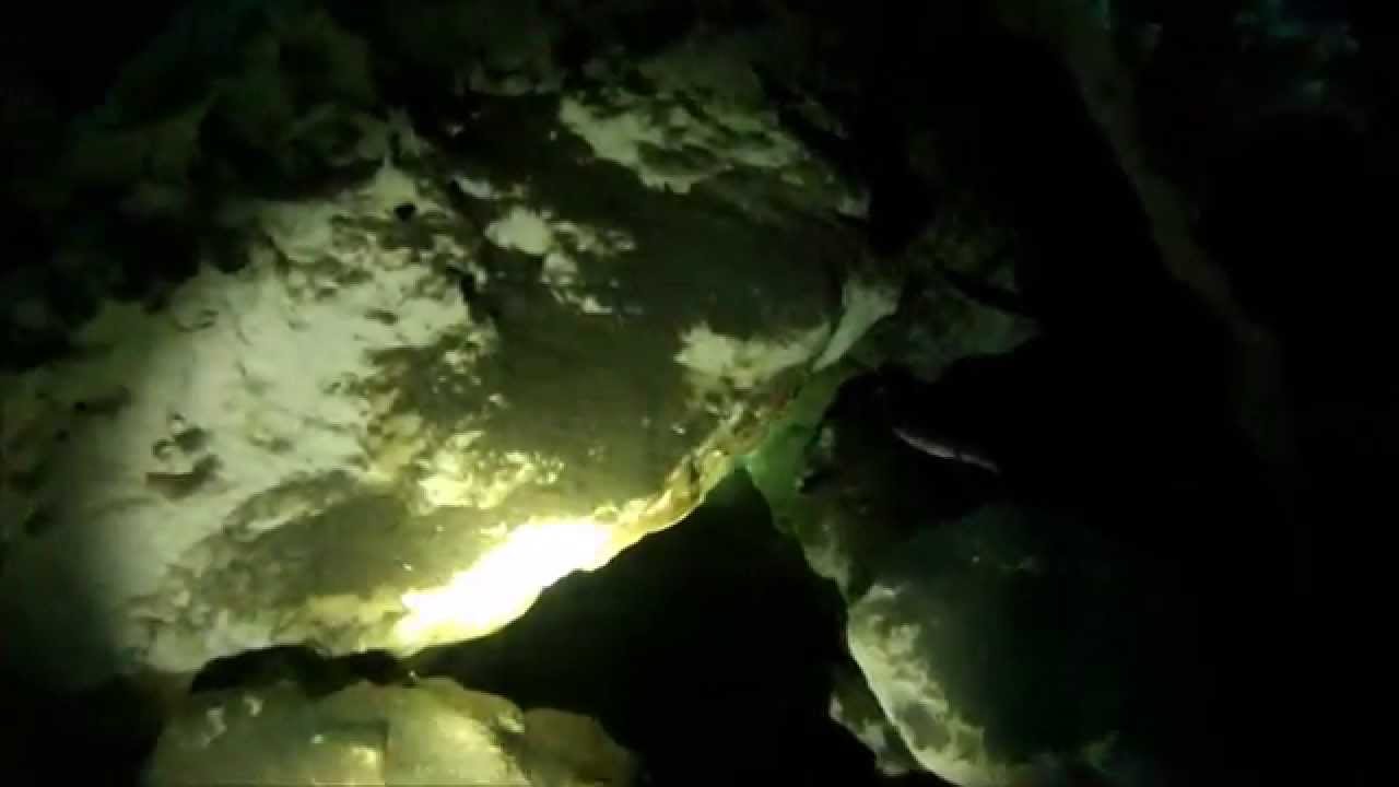 El Pit Cenote - YouTube