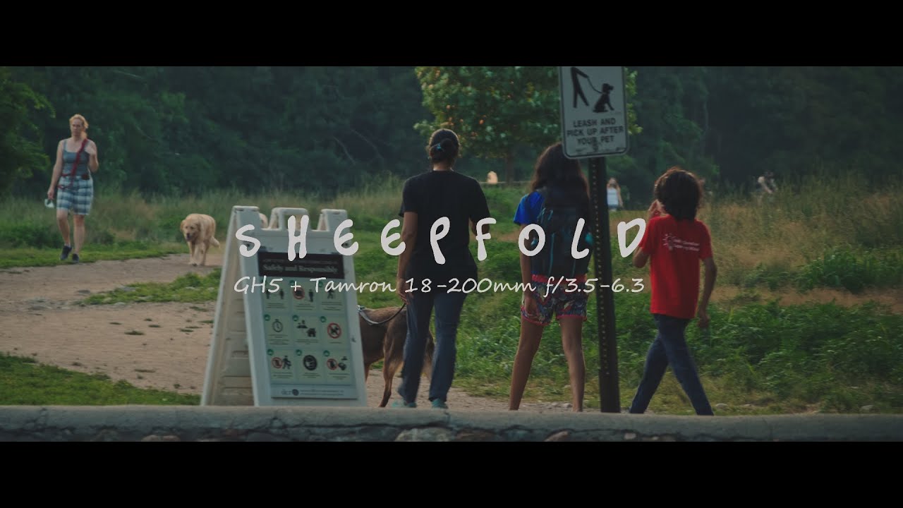 Sheepfold Dog Park (GH5 + Tamron 18-200mm f/3.5-6.3) (GHAlex LUT) - YouTube