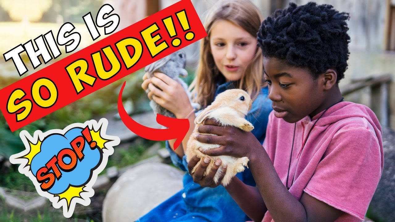 7 Human Habits Rabbits Find To Be Rude - YouTube