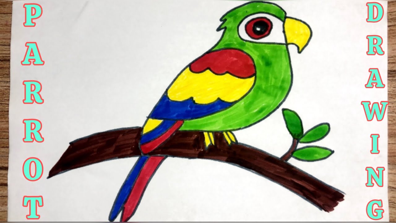 How to Draw Parrot 🦜. Easy Parrot Drawing for Kids. Step by Step Parrot ...