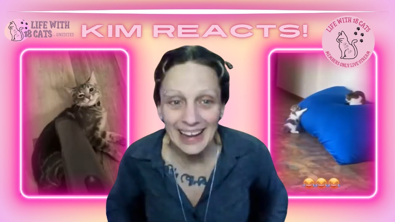 Kim REACTS to VIRAL Cat Videos | Life With 18 Cats - YouTube