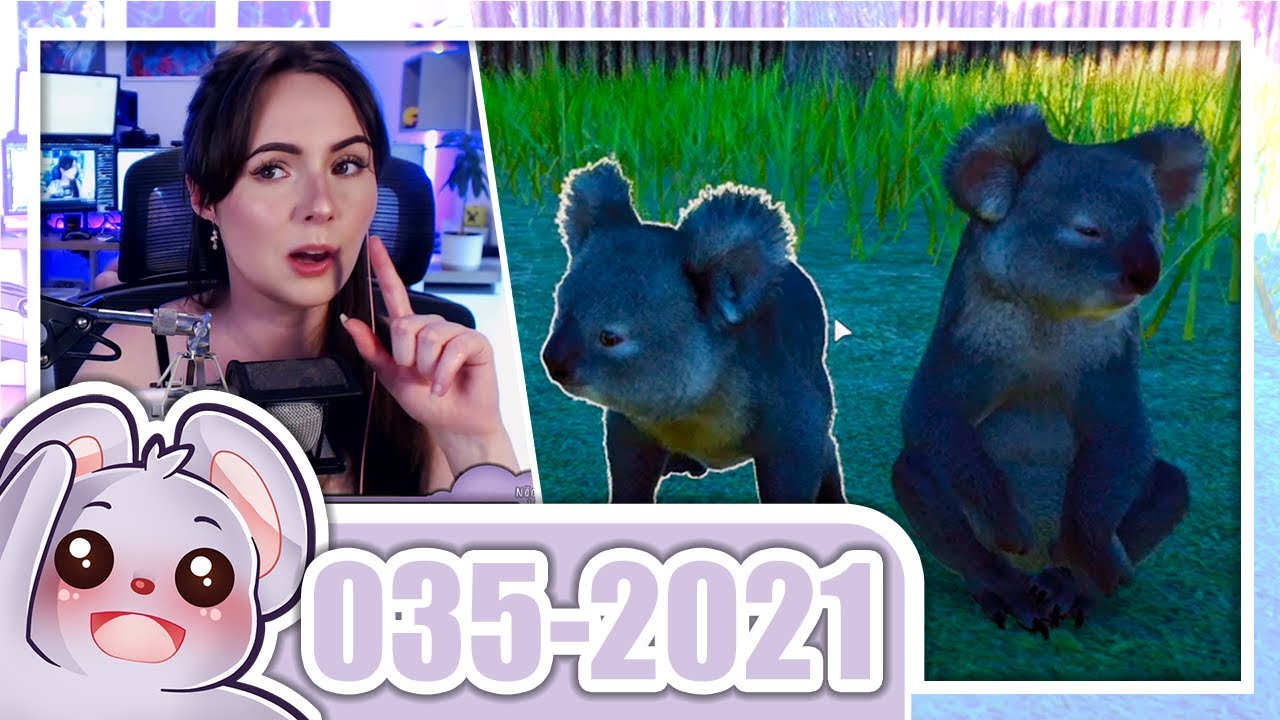 035-2021 - Doofe Tiere 🤬 (07.06.2021) - YouTube