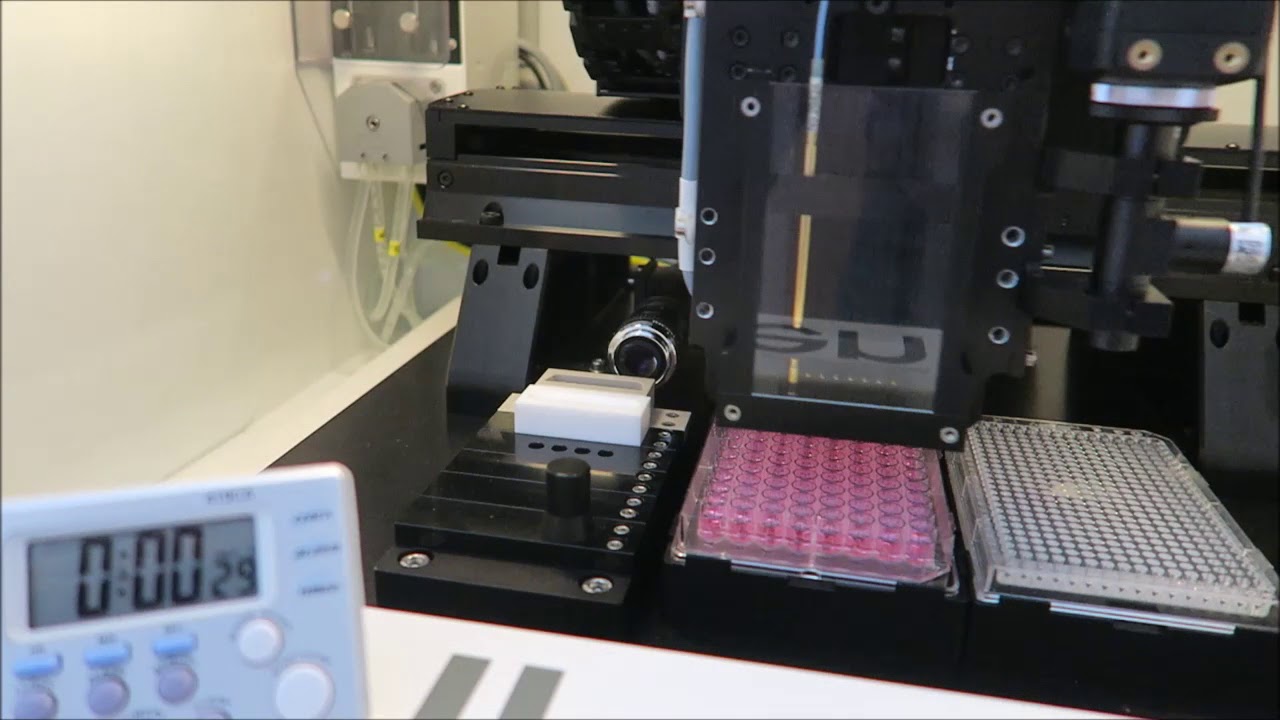 cellenONE X1 dispensing in 96 well plate - YouTube