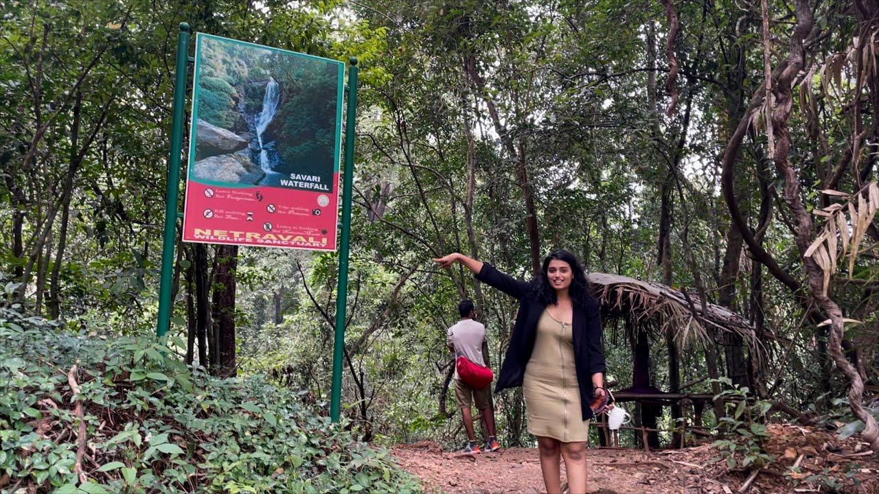 GOA Savari Waterfall | Netravali wildlife sanctuary - YouTube