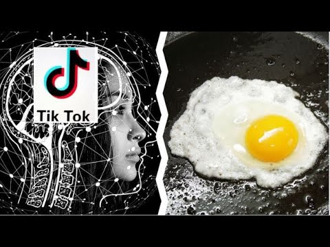 TikTok Changes your Brain, let me explain. - YouTube