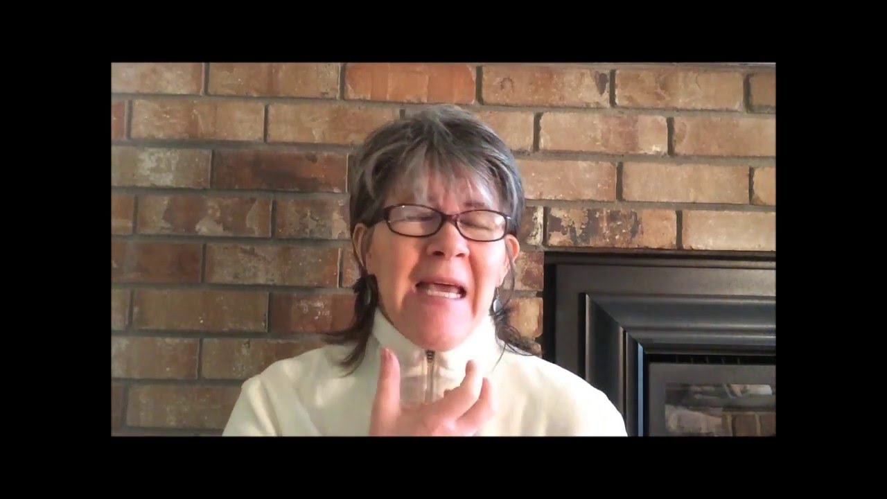 Vagus nerve GABA story after my scary plane ride - Trudy Scott - part 1 ...
