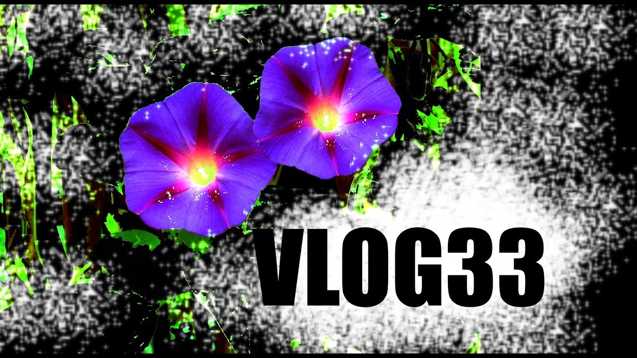 FLOWER GROWING AND BUG KILLIN - YouTube