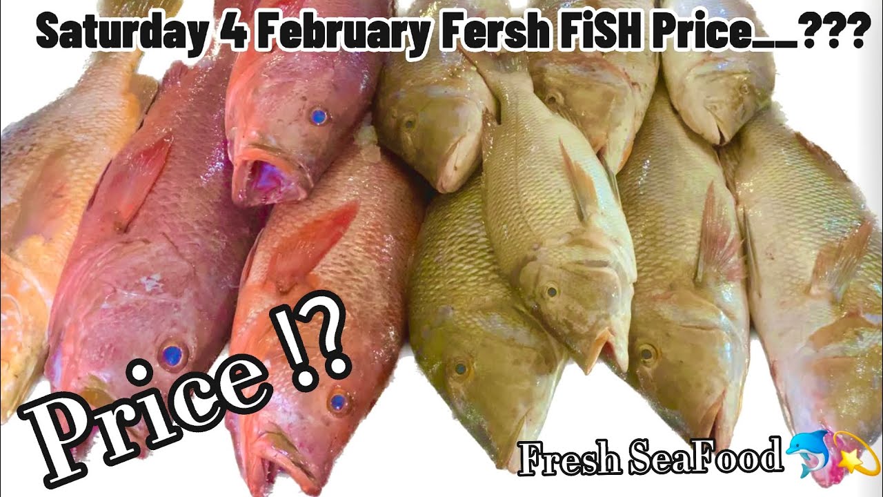 Karachi Fresh SeaFood 👌💯Saram Queen Fish🐋 AMrose Fish🐬DandiYa Fish🐠MoRe ...