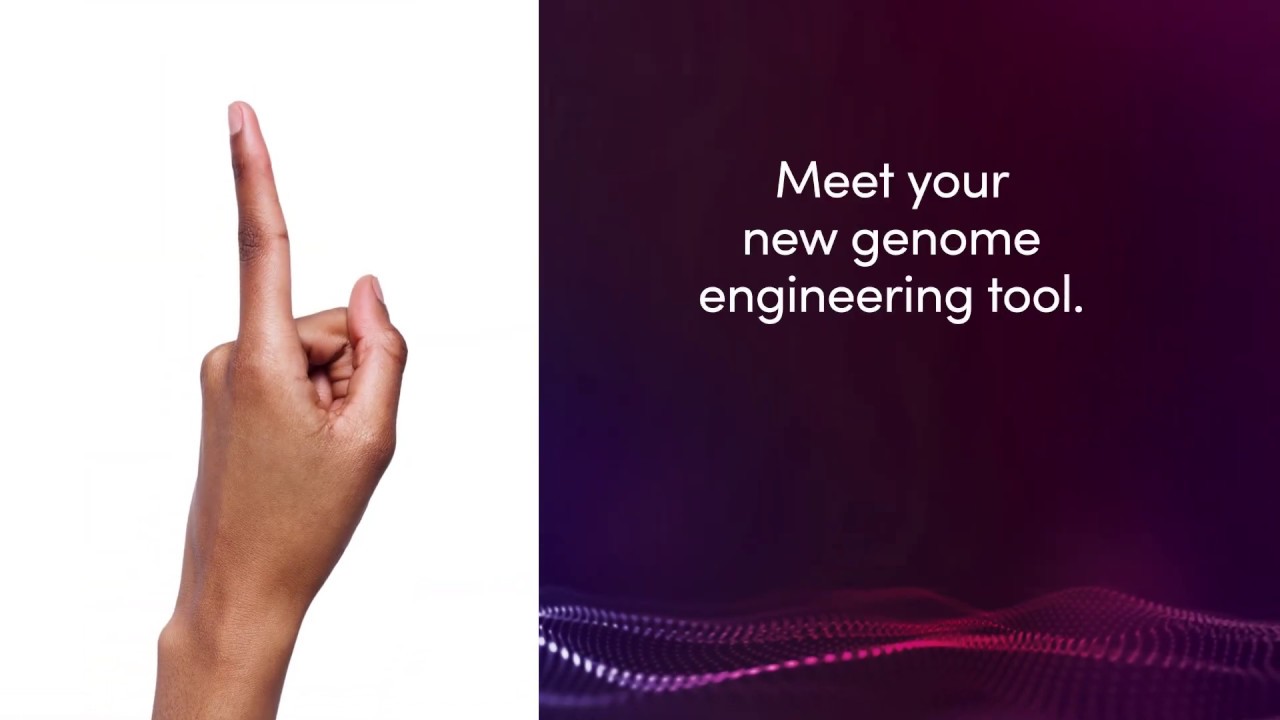 Introducing the Onyx Digital Genome Engineering Platform by Inscripta ...