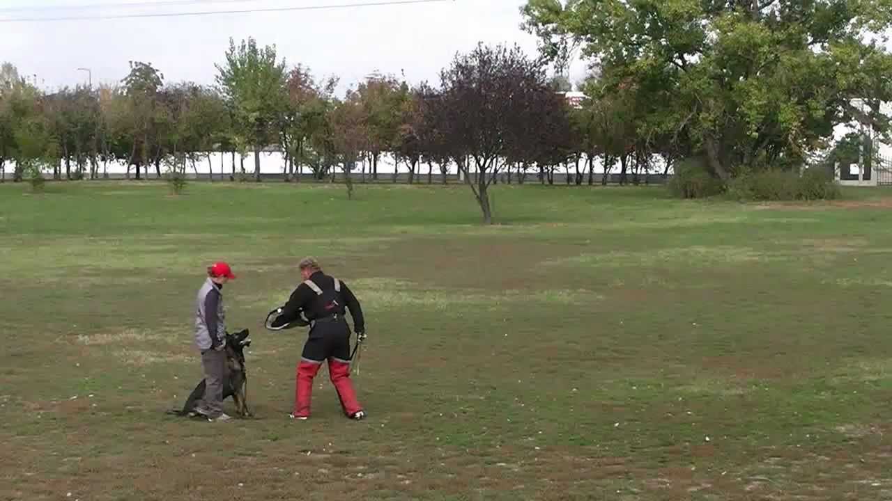 Athos training new - YouTube