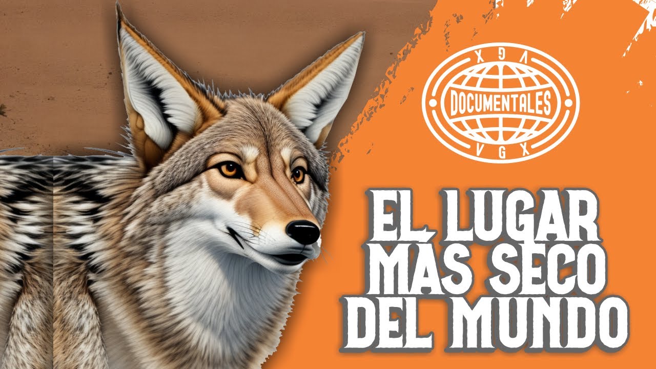 El Lugar más seco del mundo - Documental completo español - YouTube