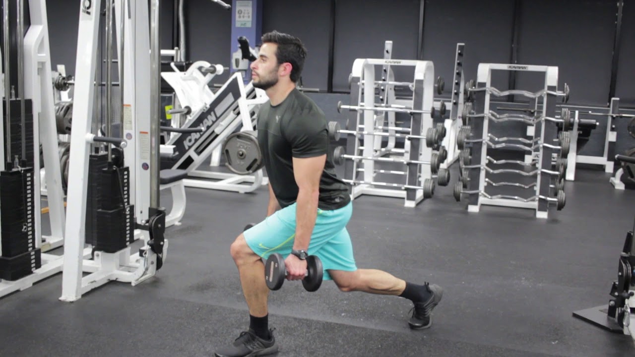 345) Dumbbell Rear Lunge [Dumbbell] - YouTube