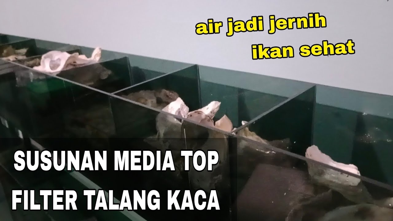 PEMASANGAN MEDIA FILTER PADA FILTER TALANG KACA AQUARIUM # ...