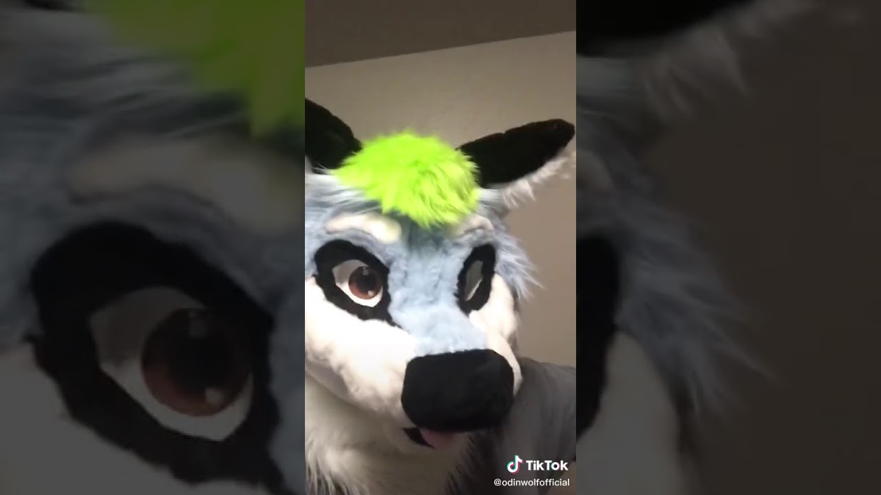 Taylor swift furry - YouTube