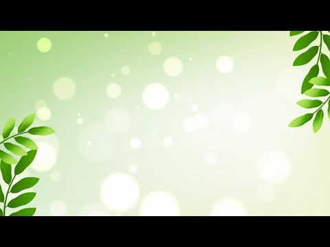 Free Green Leaf Animated Background | HD & 4K Quality for your project