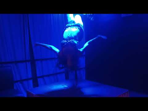 Night Club in Arpora available for private Bachelor / Bachorette partys