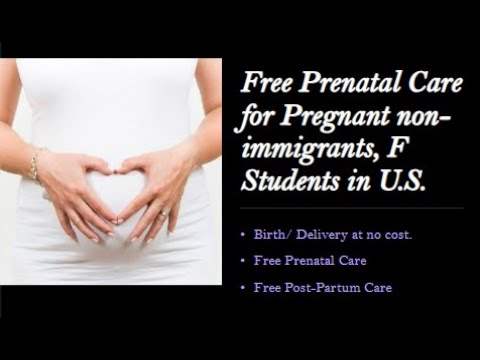 Pregnancy Care and Delivery for Non-immigrants, F Students for free in ...