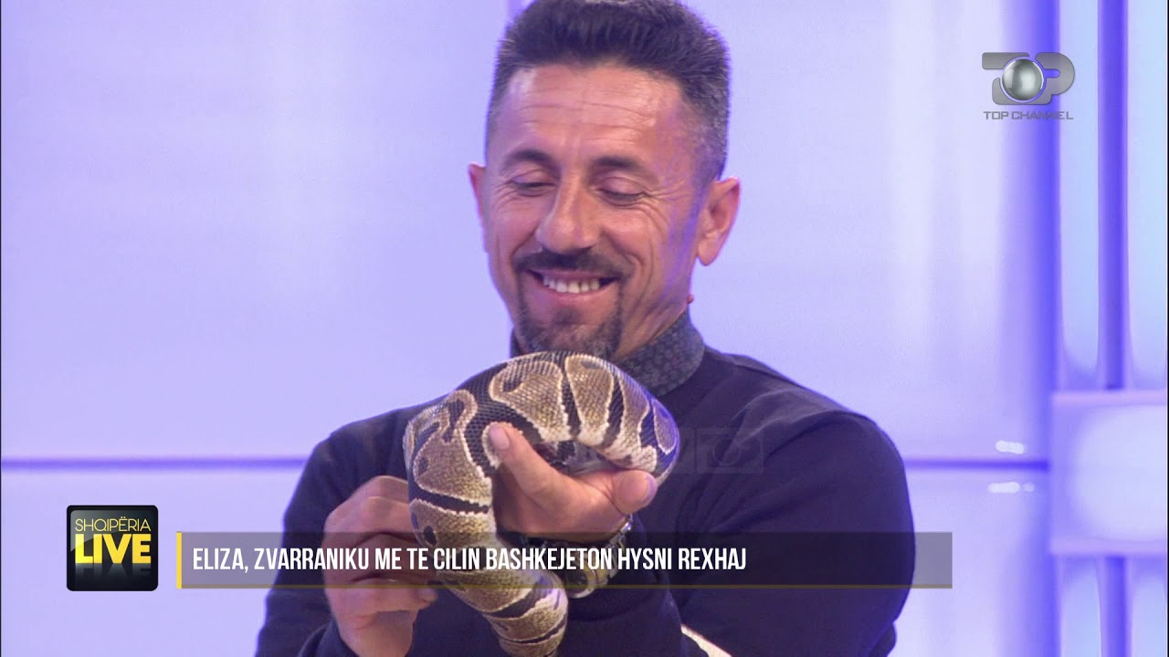 Gjarpri “live” në studio, tmerron prezantuesit - Shqipëria Live, 10 ...