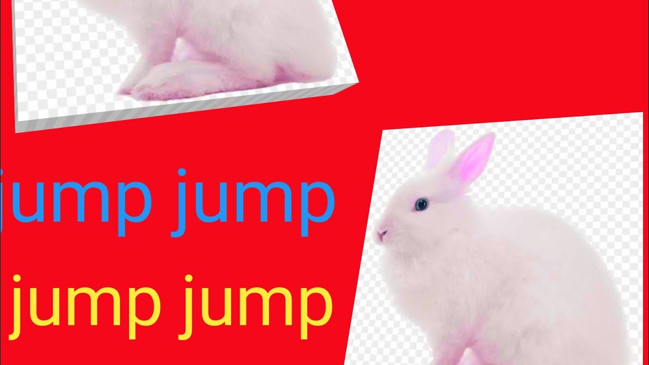 jump jump run run rabbit eating - YouTube