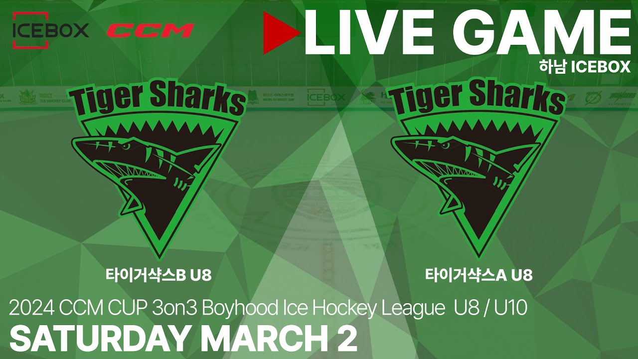 LIVE • 타이거샥스B U8 vs 타이거샥스A U8 • 2024 CCM CUP 3on3 유소년 아이스하키대회 (U8/U10) | U8 Div3 순위 결정전 • 2024 ...