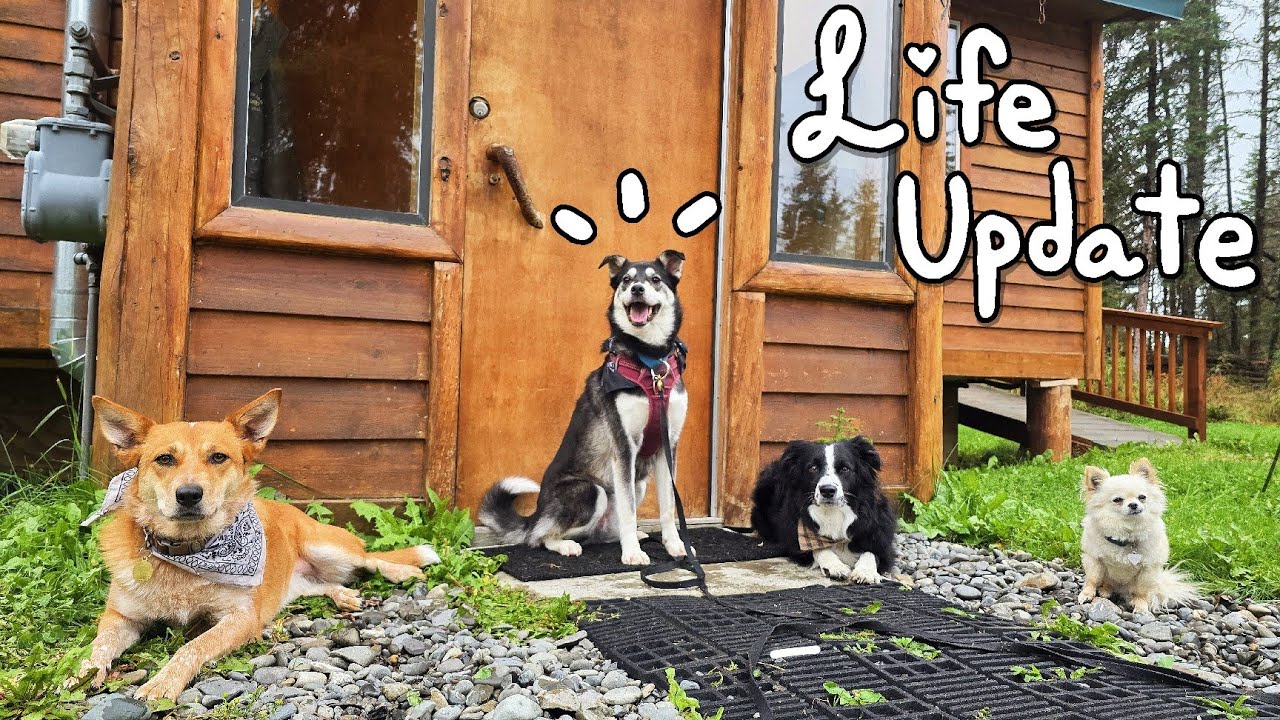 Life Update: New House + New friend 🏠 🐶 - YouTube